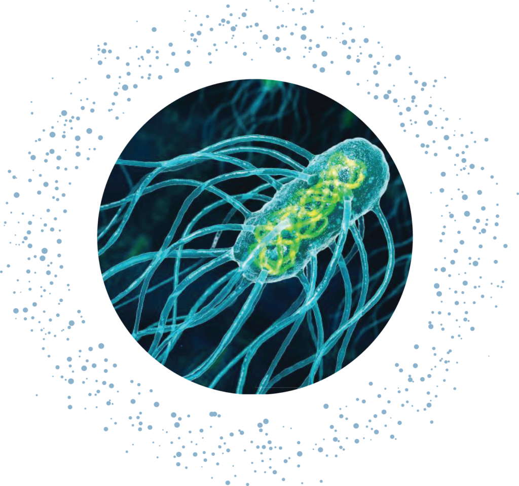 Bio Protectors